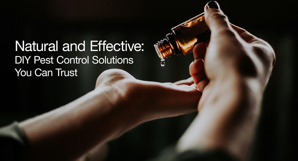Natural and Effective: DIY Pest Control Solutions You Can Trust ...